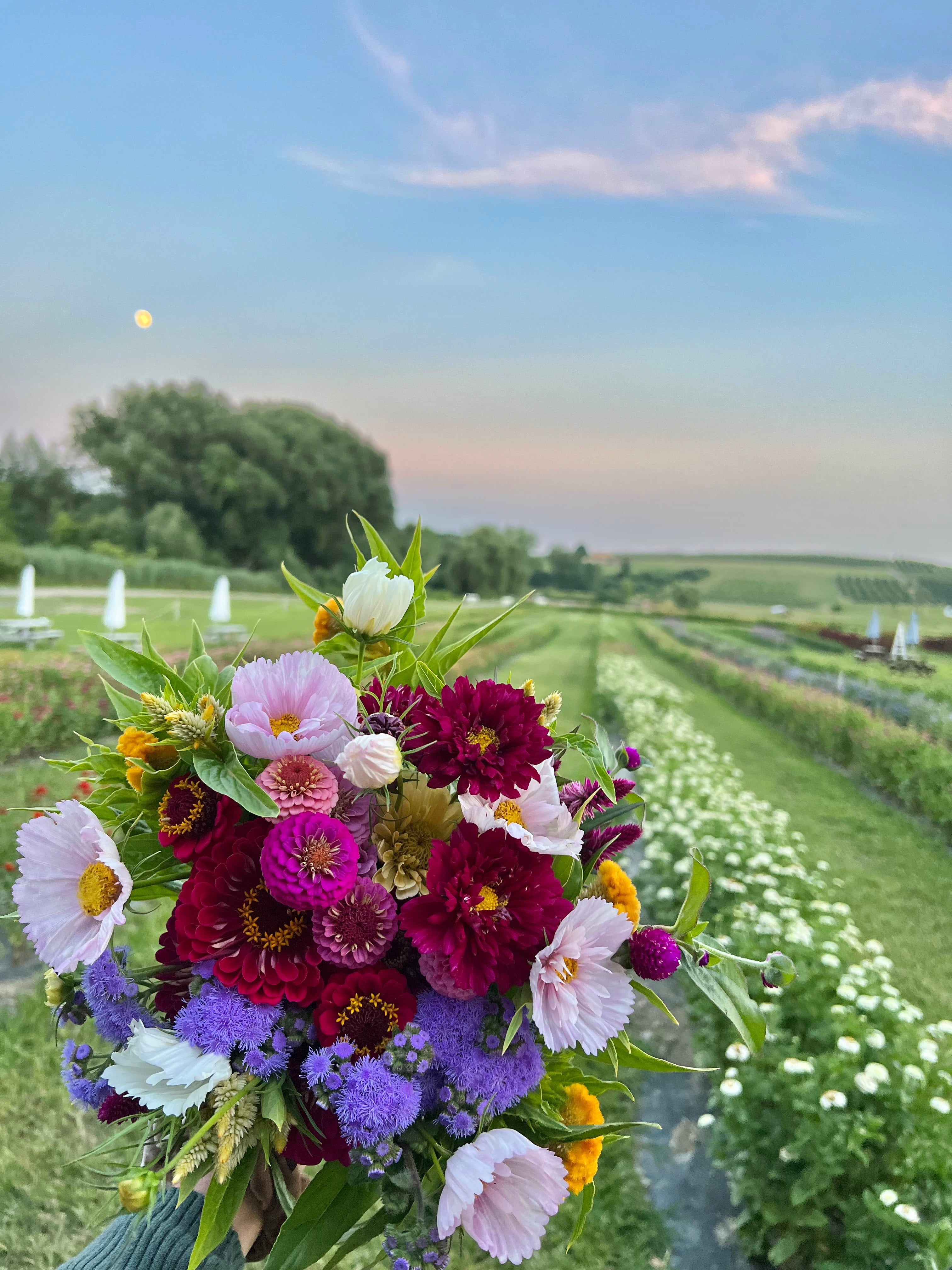 2026 PICK YOUR OWN FLOWER SUBSCRIPTION | Hudson Wildflower Co.